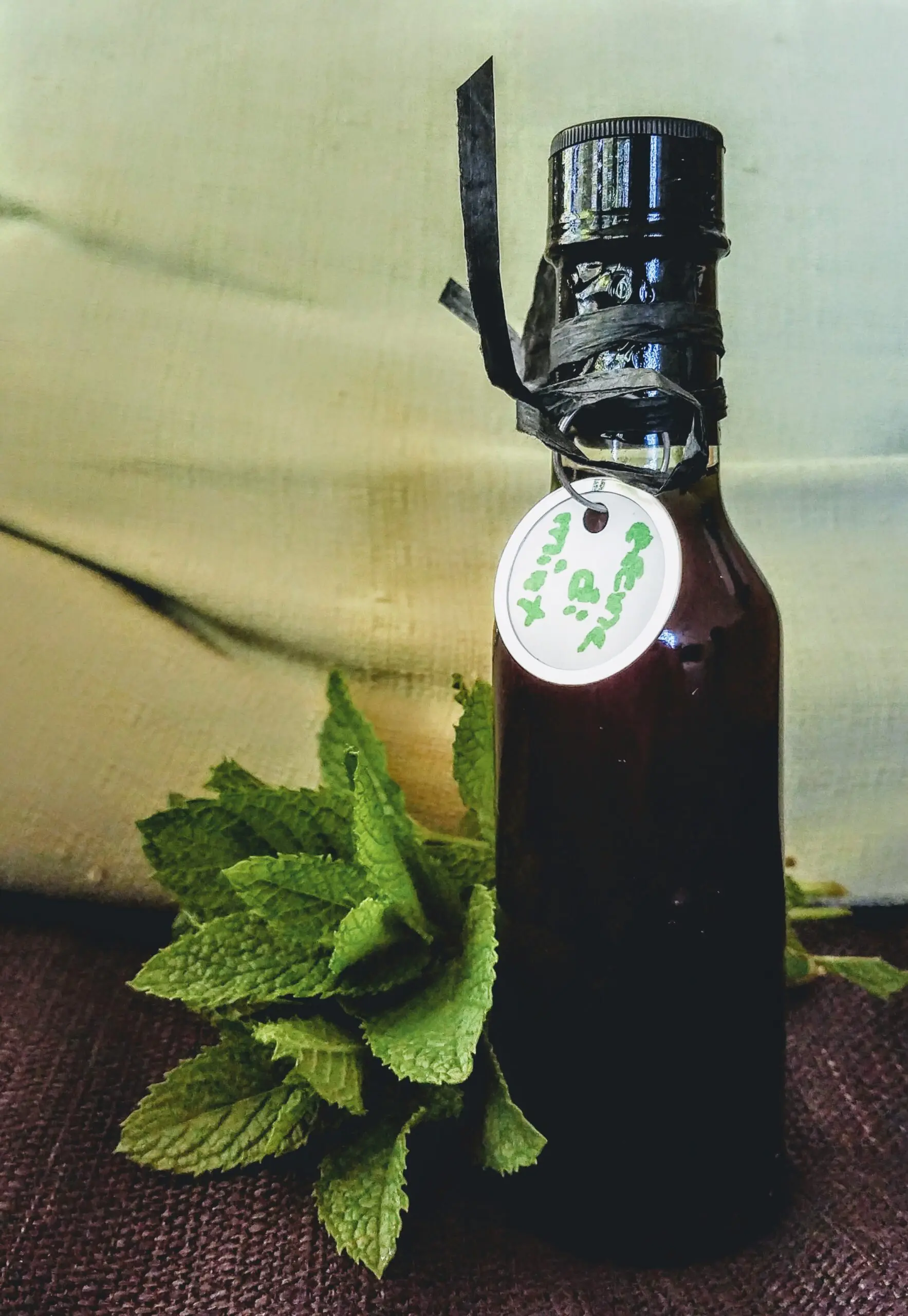 7 Things to Do with Mint - The Herb Society of America Blog