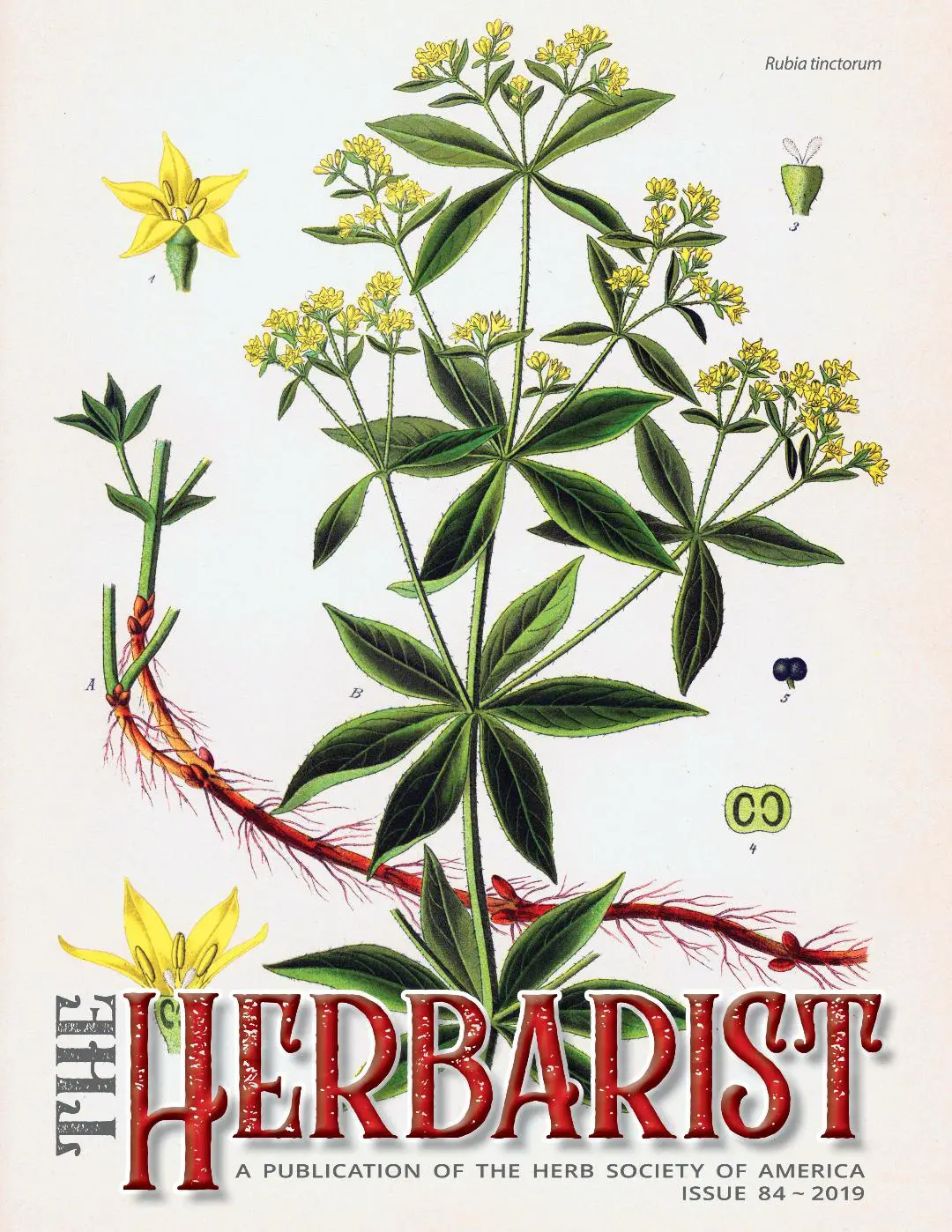 Herbs from the Witch’s Garden - The Herb Society of America Blog